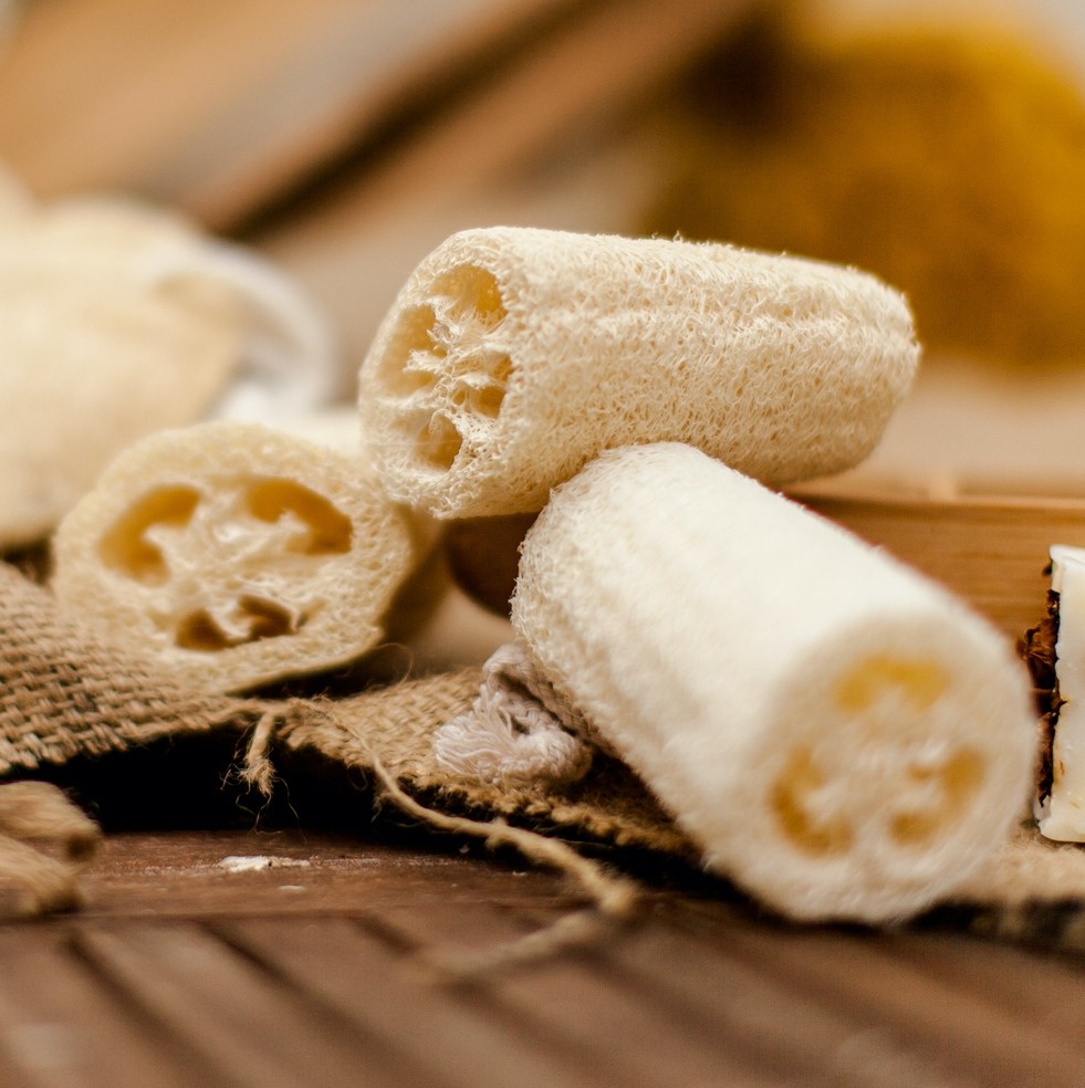 Naturkosmetik Laden / Shop Luffaschwamm - Cocoeco